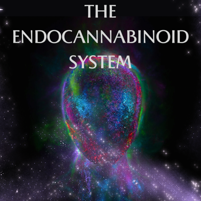 Demystifying the Endocannabinoid System - Saved by the Flower Plant ...